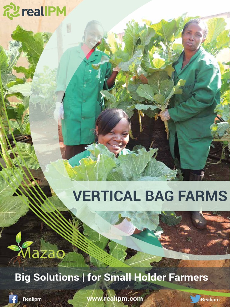 Vertical Bag Farm Booklet | PDF | Tomato | Irrigation
