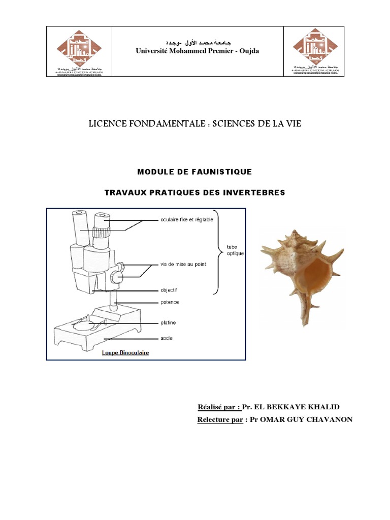 TP Faunistique Polycopié Khalid El Bekkaye | PDF