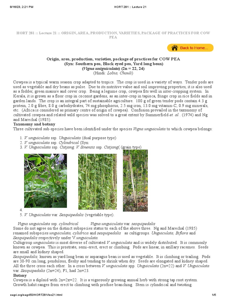 HORT 281 - Lecture 21 | PDF | Legume | Pea