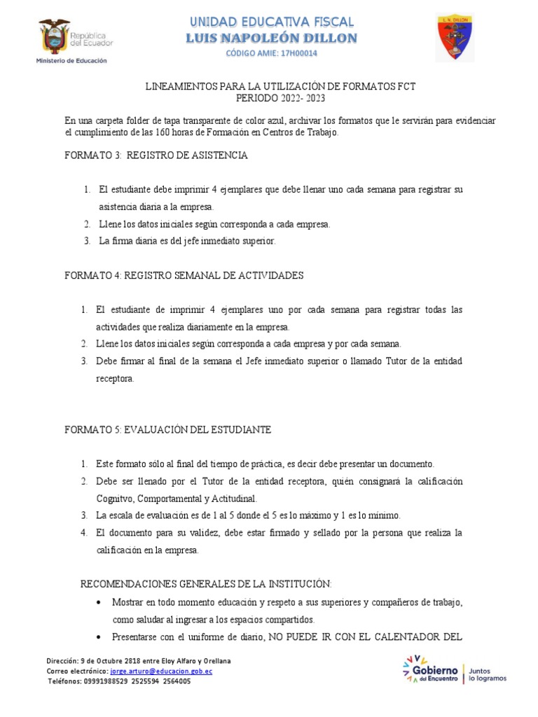 Lineamientos para La Utilización de Los Formatos | PDF