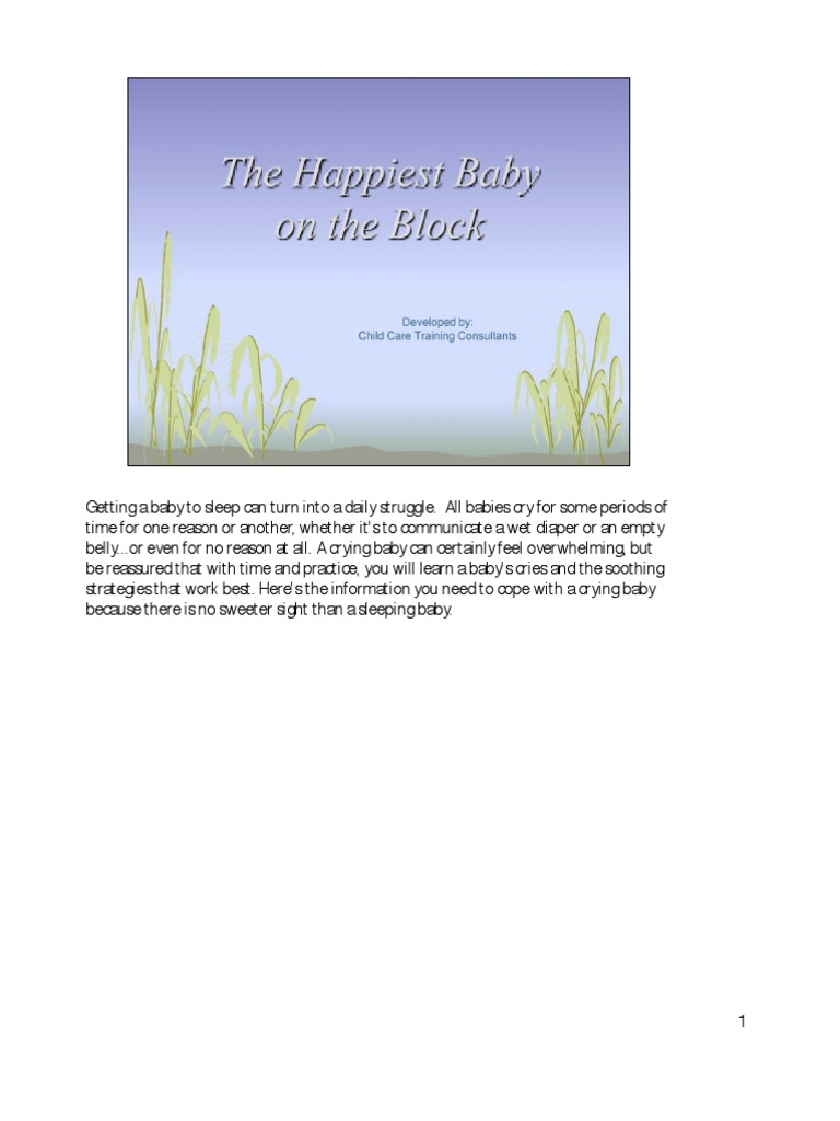 The Happiest Baby On The Block The Happiest Baby Power Point | PDF