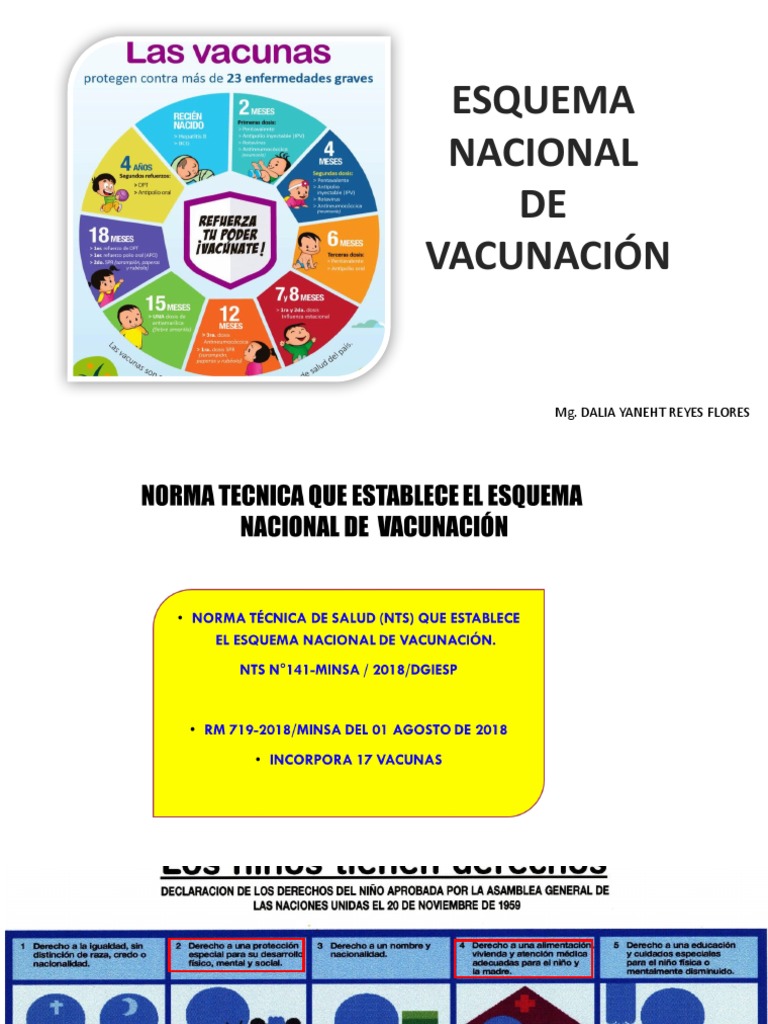 Esquema Vacunacion | PDF
