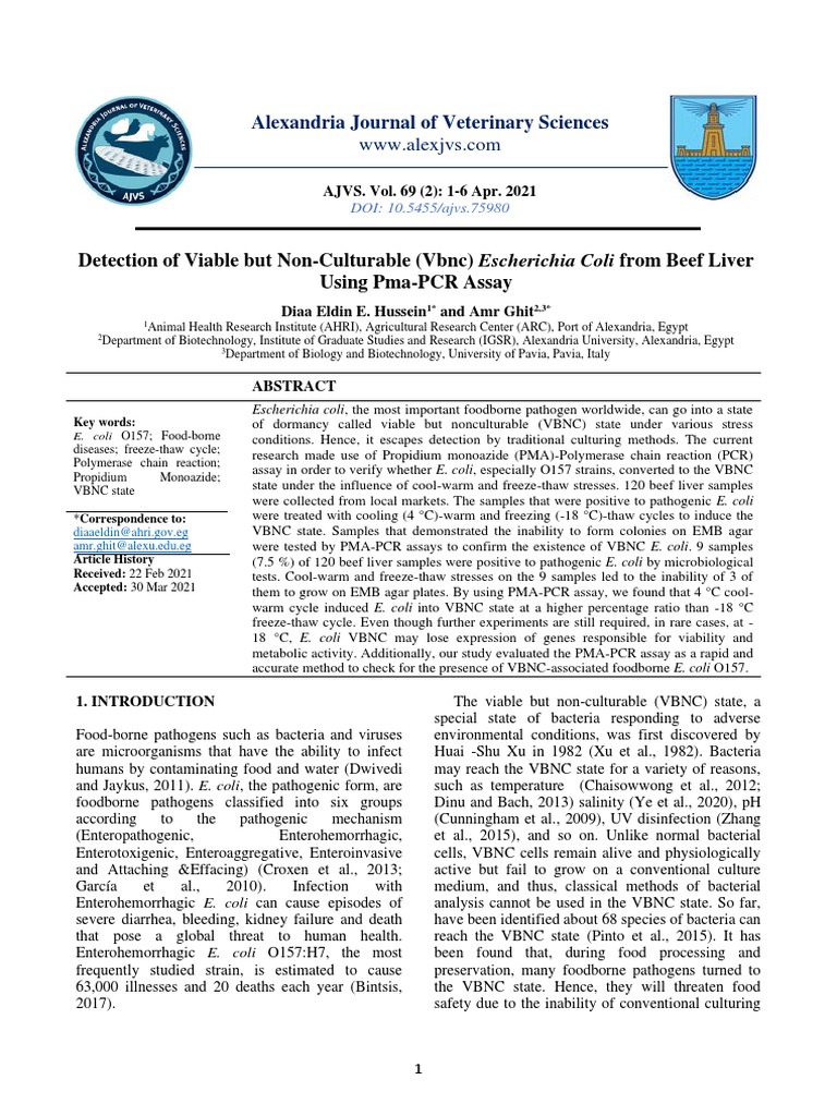 Detection of Viable But Non-Culturable (VBNC) Escherichia Coli From Beef Liver Using Pma-PCR ...