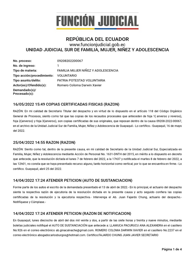 Cesion Patria Potestad | PDF