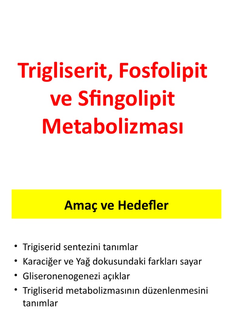 Lipid Met - Trigliserit, Fosfolipit Ve Sfingolipit Metabolizması | PDF