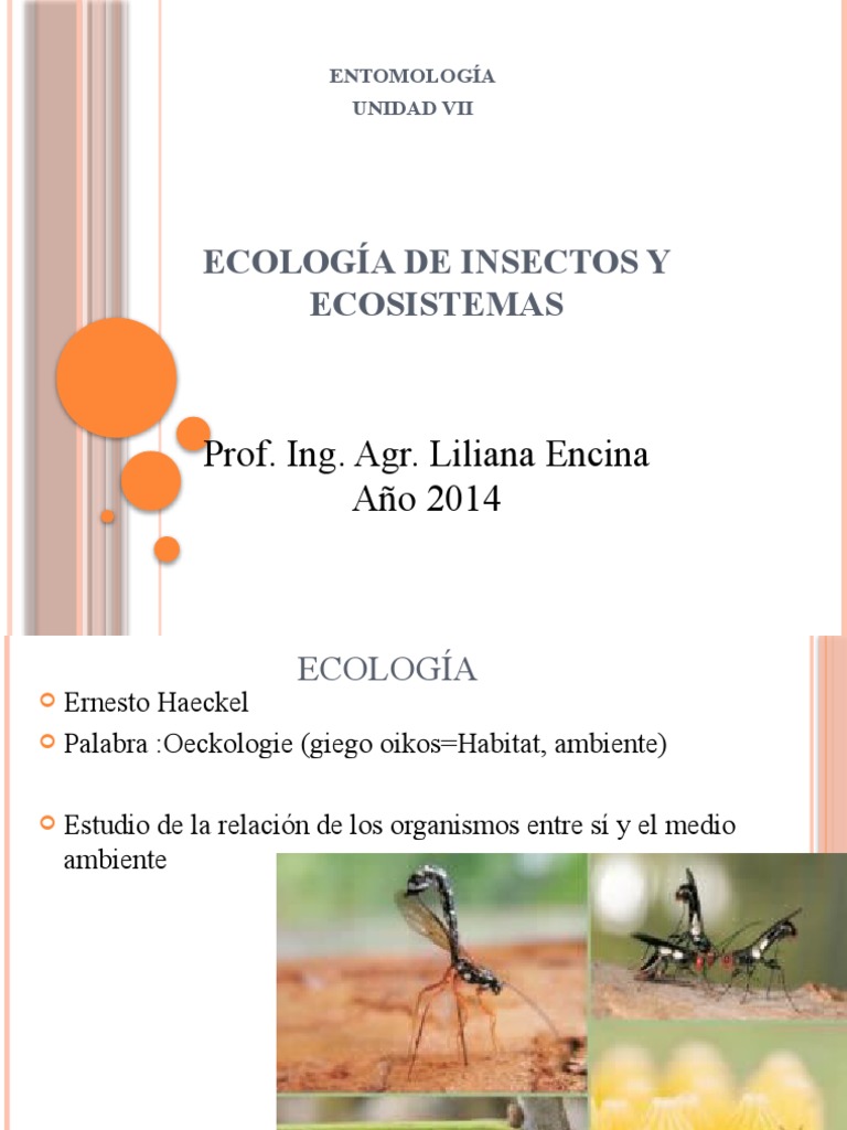 Ecología de Insectos y Ecosistemas | PDF