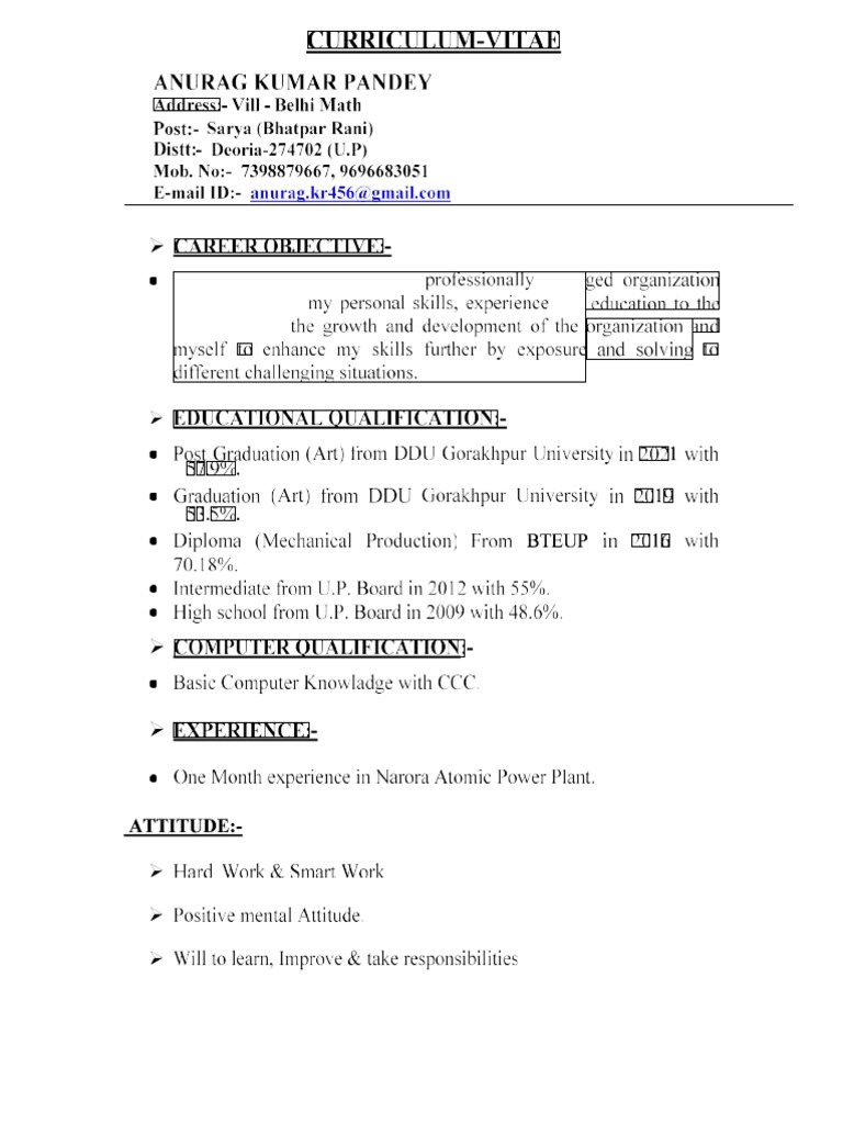 Anurag Resume | PDF