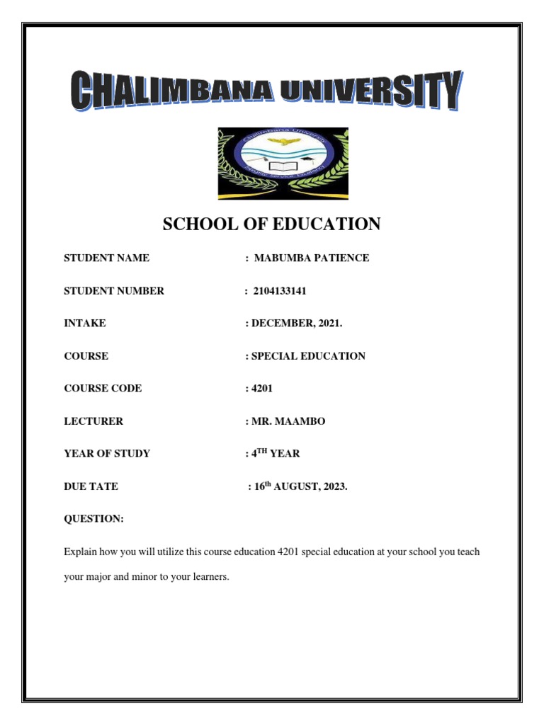 Patience Special Education Assignment Final | PDF | Special Education ...