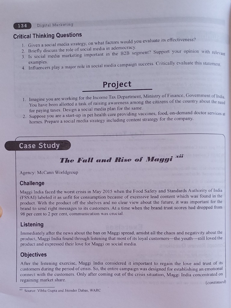 Maggi Case Study | PDF