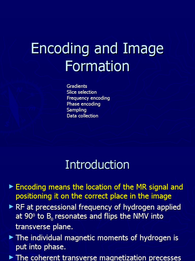 Magnetic Resonance Imaging 5 Encoding and Image Formation | PDF ...