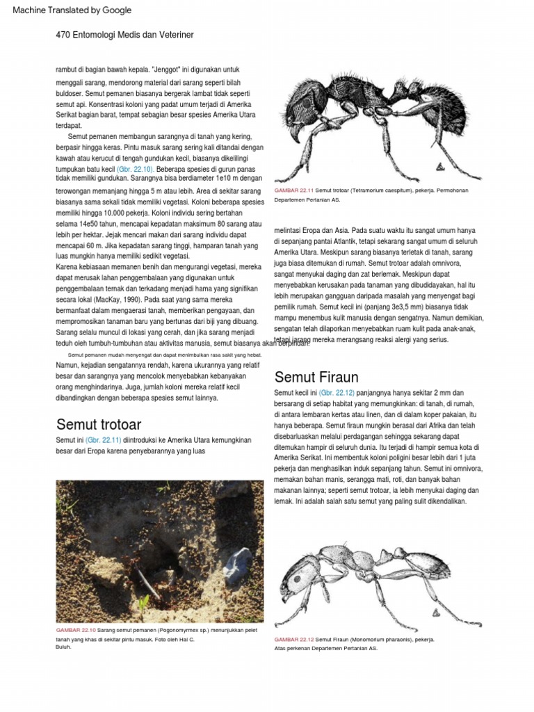 Entomologi Part 6 | PDF