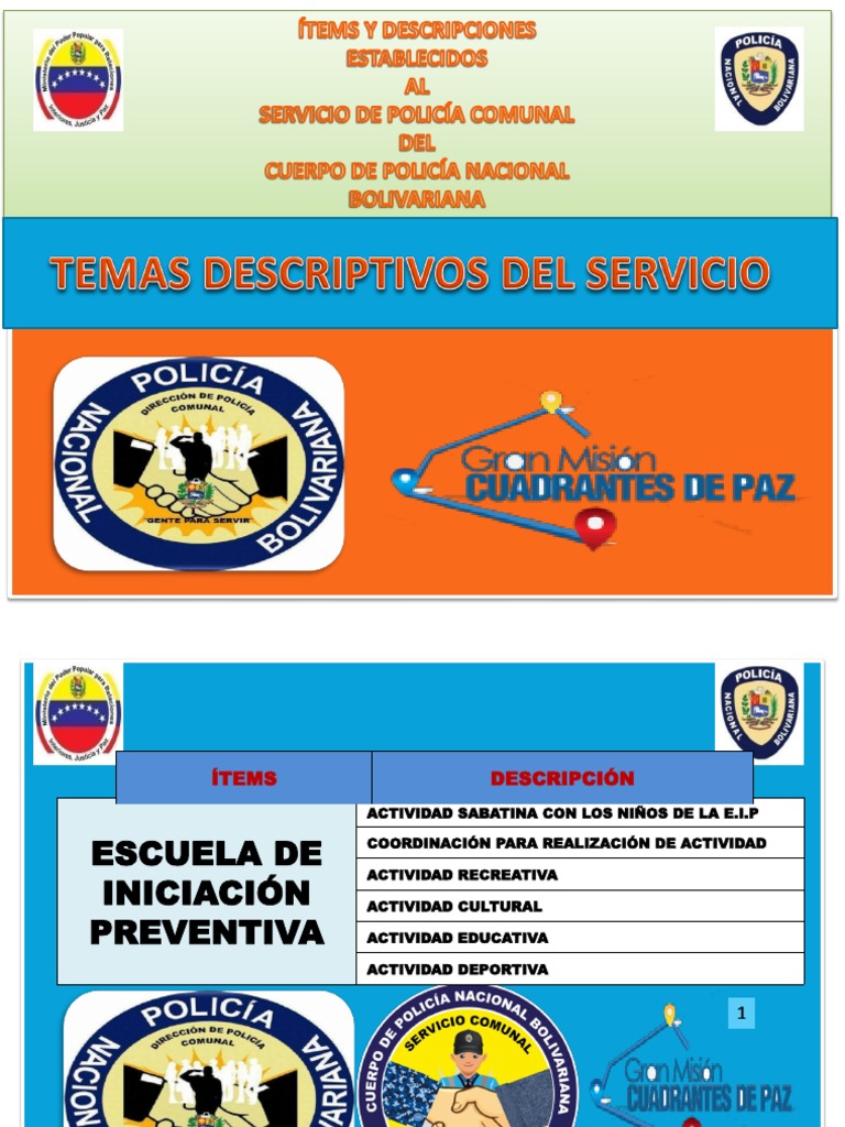 Ítems Del Servicio Comunal | PDF