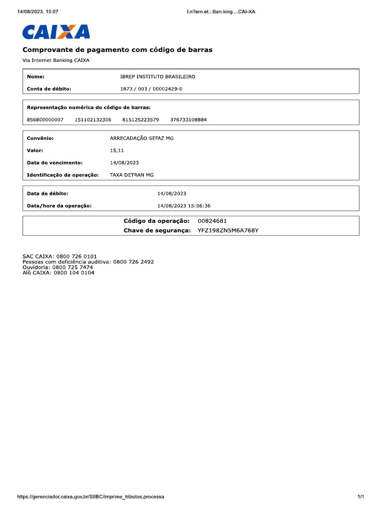 TAXA DETRAN MG Comprovante | PDF