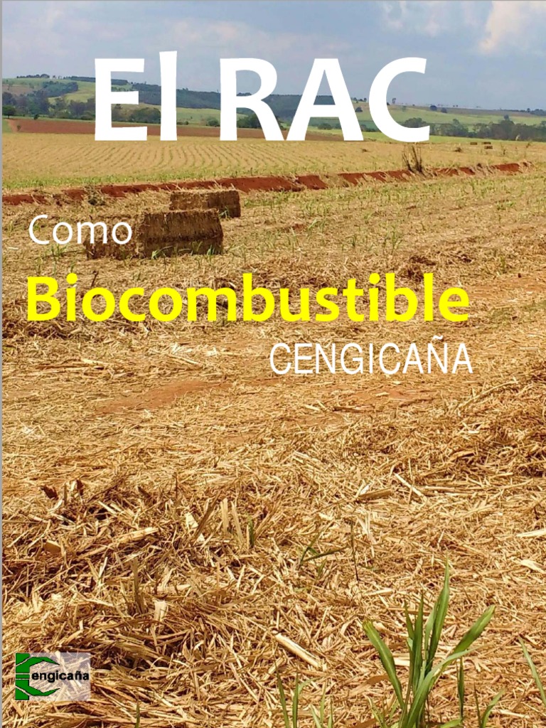 El Rac Como Combustible Cengicaña | PDF | Combustibles | Biomasa