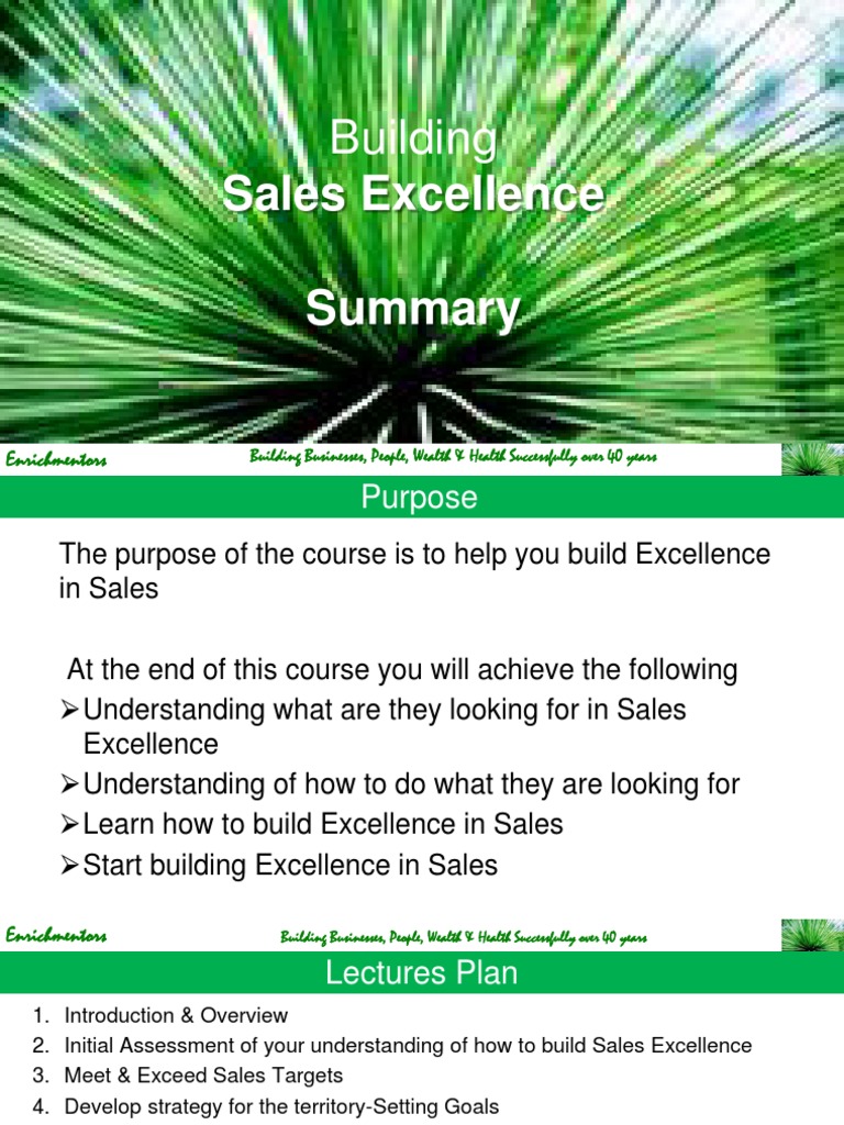 Sales+Excellence +summary | PDF