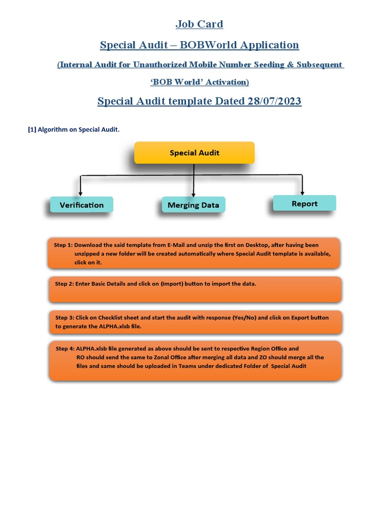 Job Card on Special Audit | PDF