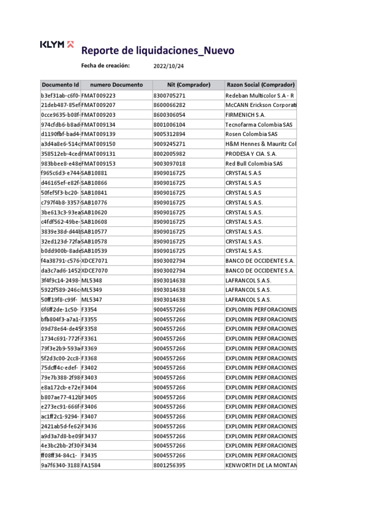 Reporte de Liquidaciones Nuevo 0 | PDF | Technology & Engineering