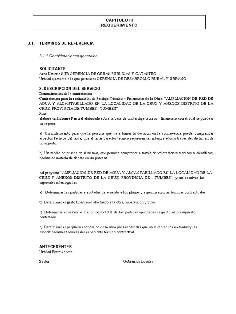 Terminos de Referencia - Modelo | PDF