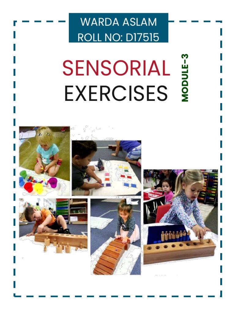 PMC Assignment - Module-3 - Warda Aslam | PDF | Senses | Shape