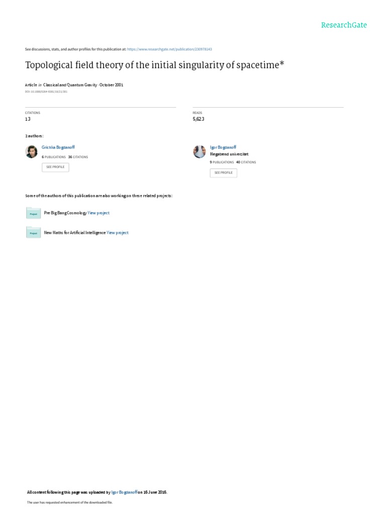 Topological Field Theory of The Initial Singularit | PDF