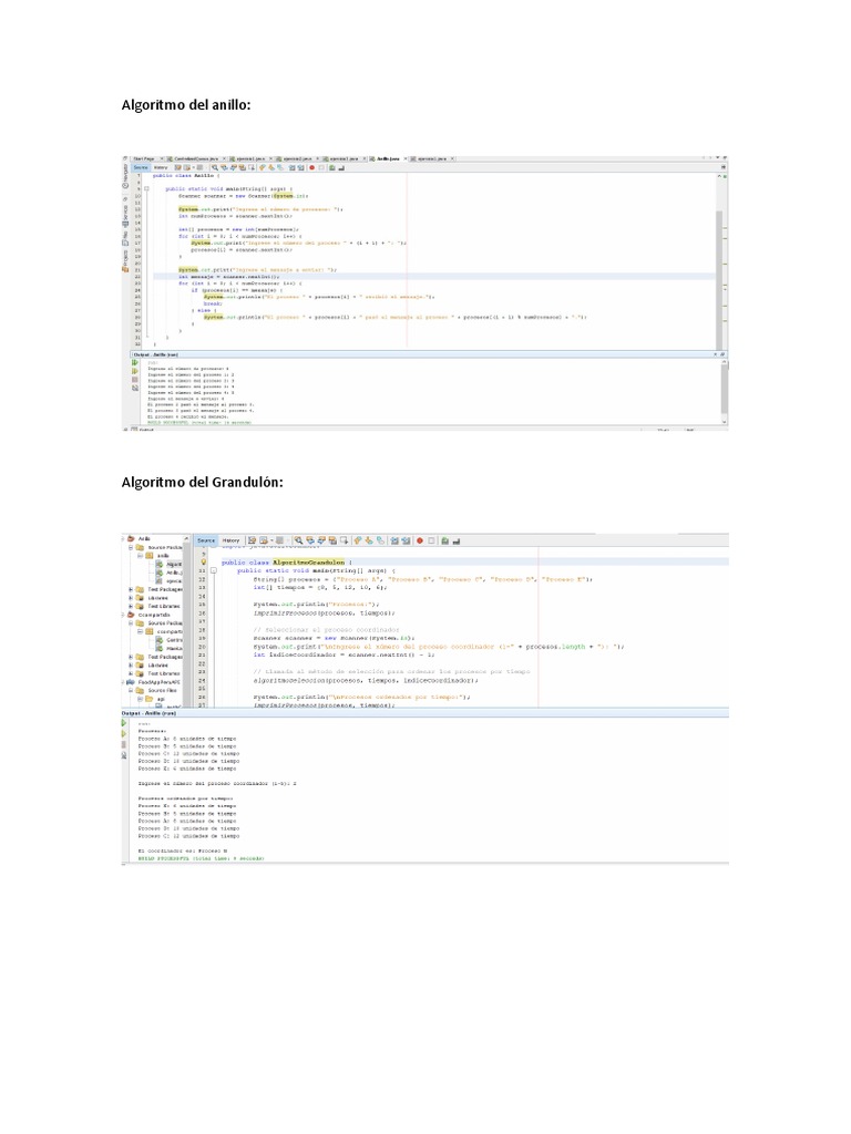 Algoritmo Del Anillo y Grandulon | PDF | Tecnología e ingeniería