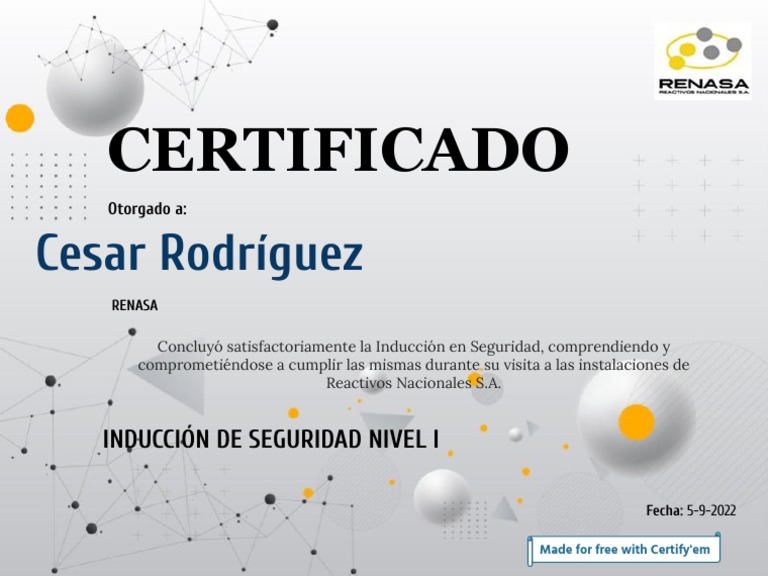 Certificado de Seguridad Nivel I-Renasa | PDF