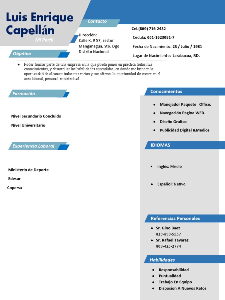 CURRICULUM Carlos Julián Luis Enrique Capellán | PDF