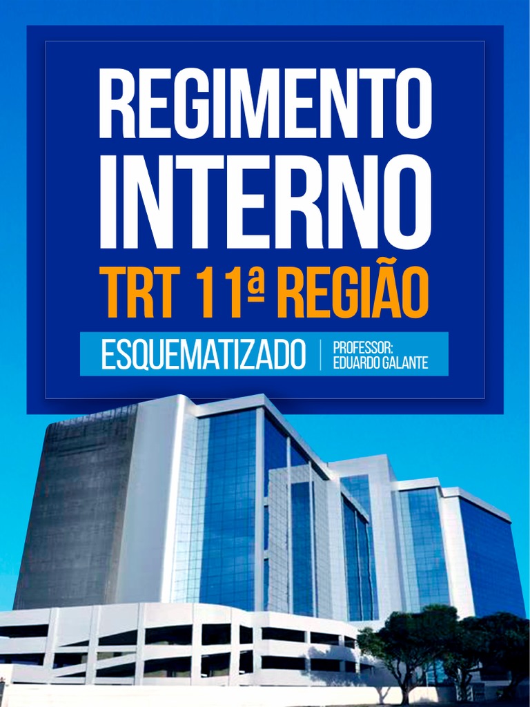 TRT 11 - Esquematizado | PDF