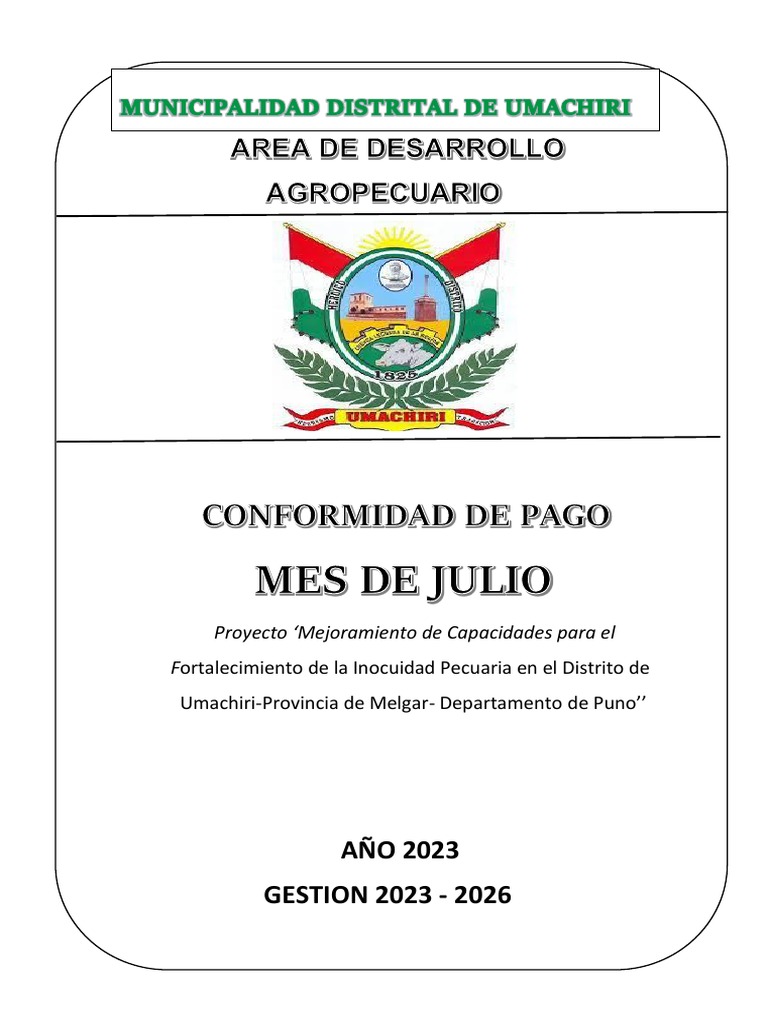 AREA DE DESARROLLO Muni | PDF | Tecnología