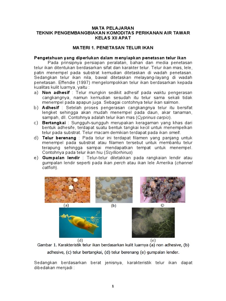 Proses Penetasan Telur Ikan Air Tawar | PDF | Kesehatan Holistik ...