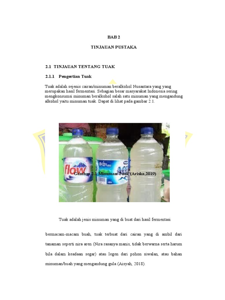 Sejarah dan Manfaat Tuak | PDF | Wellness