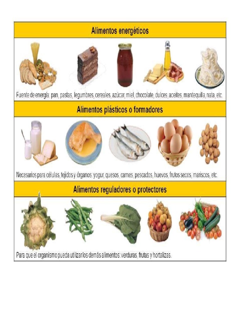 Alimentos Energeticos Formadores Protectores | PDF