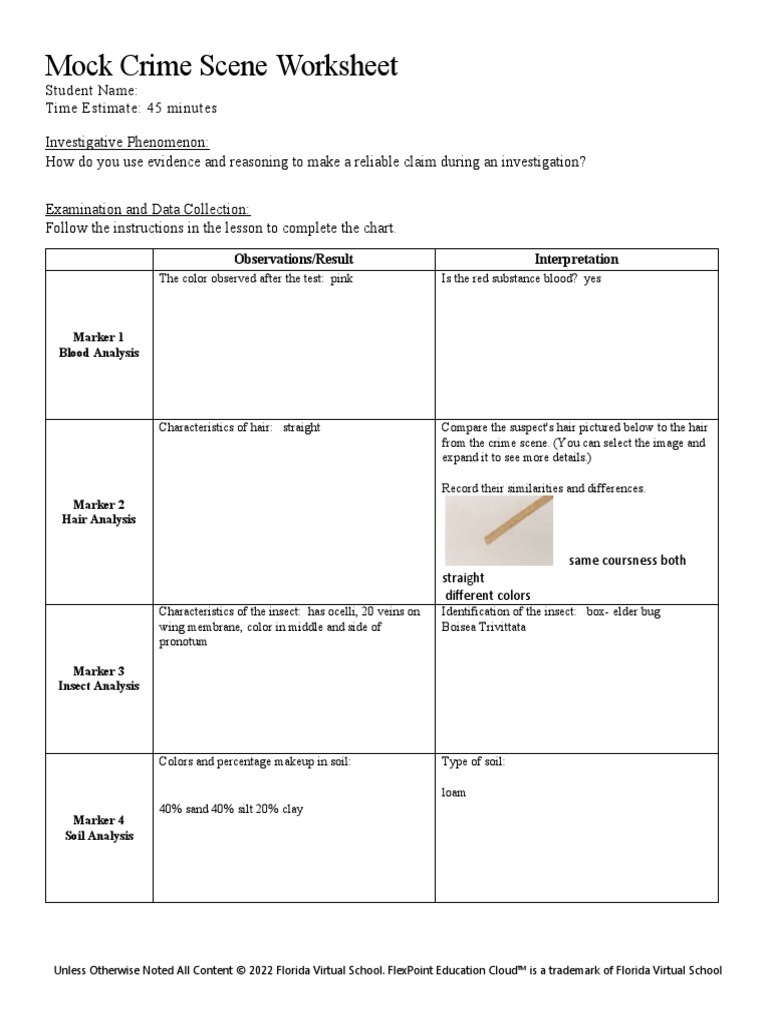 02 07 Mock Crime Scene Worksheet | PDF | Crime Scene | Witness