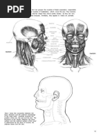 Full Body Drawing Reference Pdf Figure Drawing Drawing