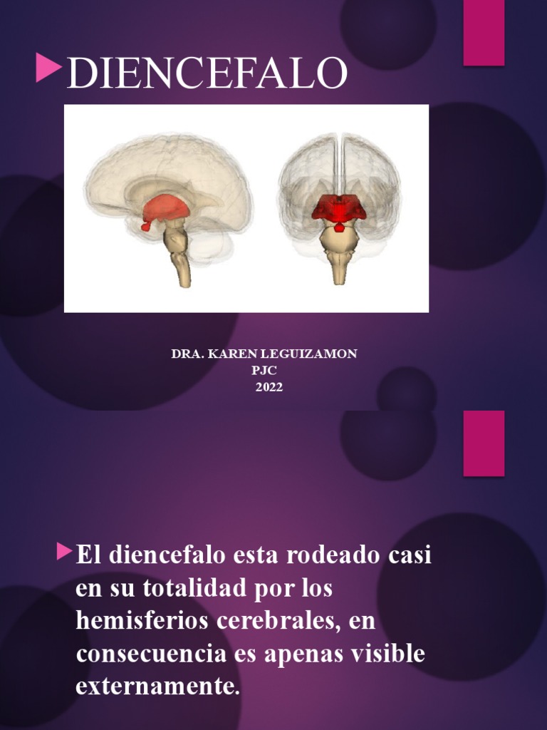 Diencefalo - Dra. Karen. | PDF