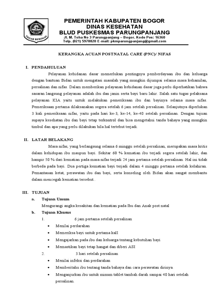 Kak Postnatal Care (PNC) Nifas | PDF