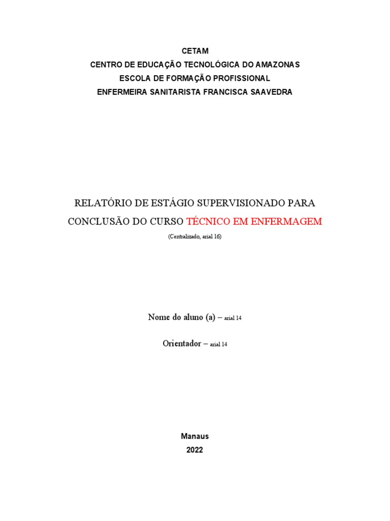 Modelo de Relatorio | PDF