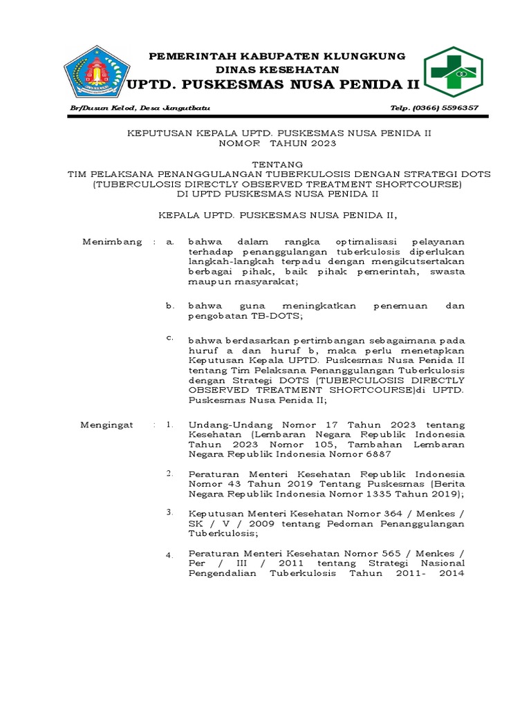 SK No 5 Tim TB DOTS | PDF