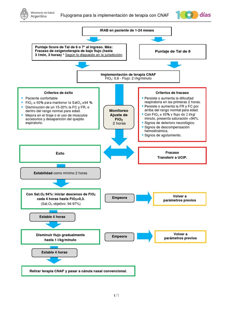 CNAF-Anexo2-Flujograma-Terapia-CNAF (1) | PDF