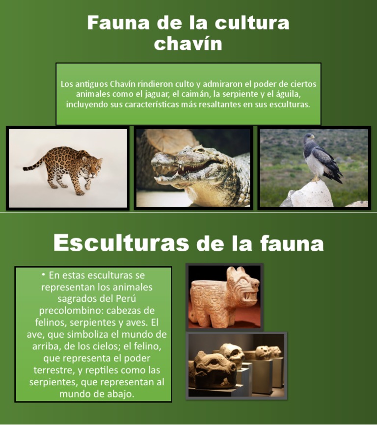 Fauna de La Cultura Chavín | PDF