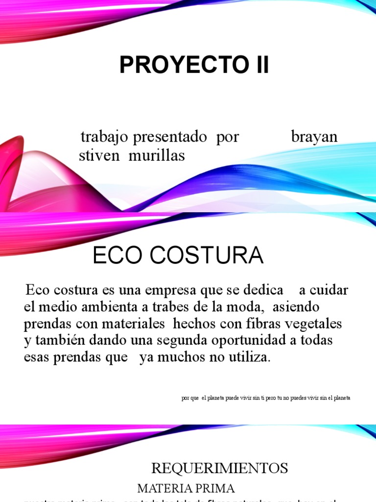 Proyecto II Trabajo Final | PDF