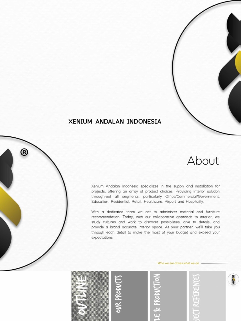 XAI - Company Profile_Compr | PDF