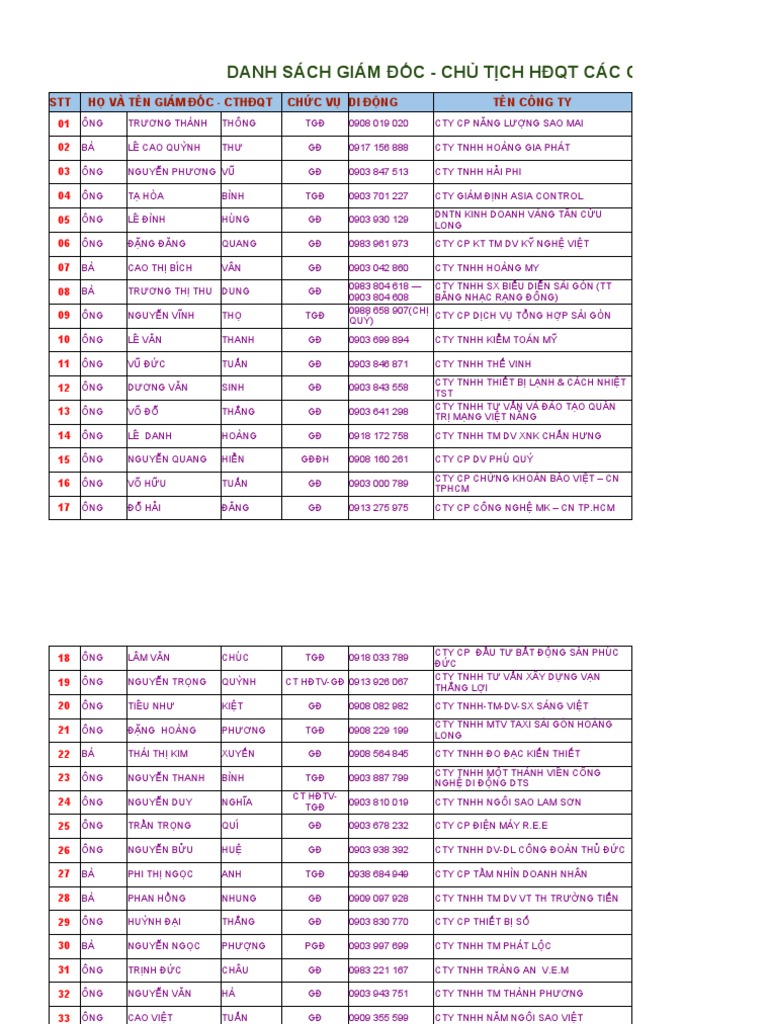 Giam Doc-Ct - HĐQT Cac Cty Lon HCM | PDF