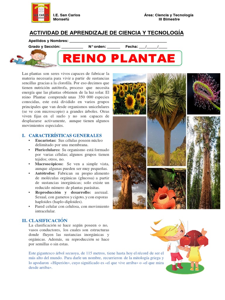 ACTIVIDAD DE APRENDIZAJE #02 - C y T - CUARTO GRADO - III BIMESTRE - 2023 | PDF