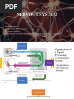 HBS 213 NeuronFormsComparisonChart | PDF