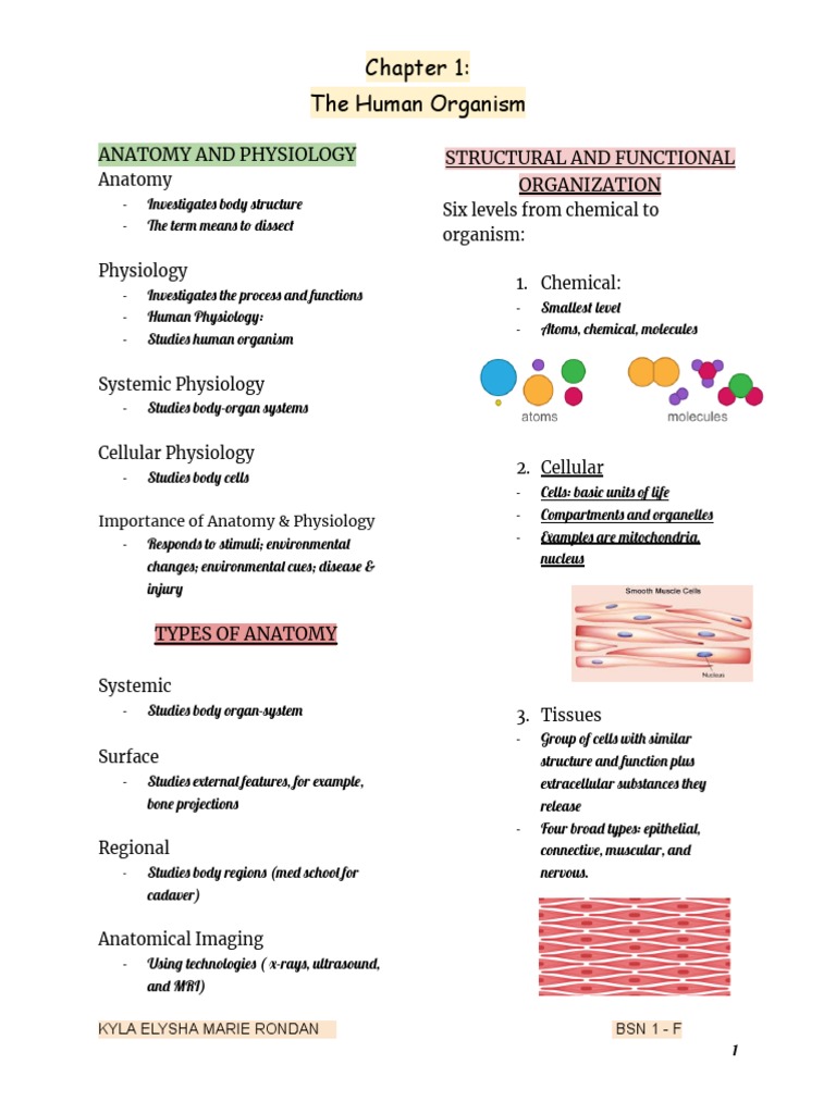 Anatomy and Physiology Overview | PDF | Self-Improvement