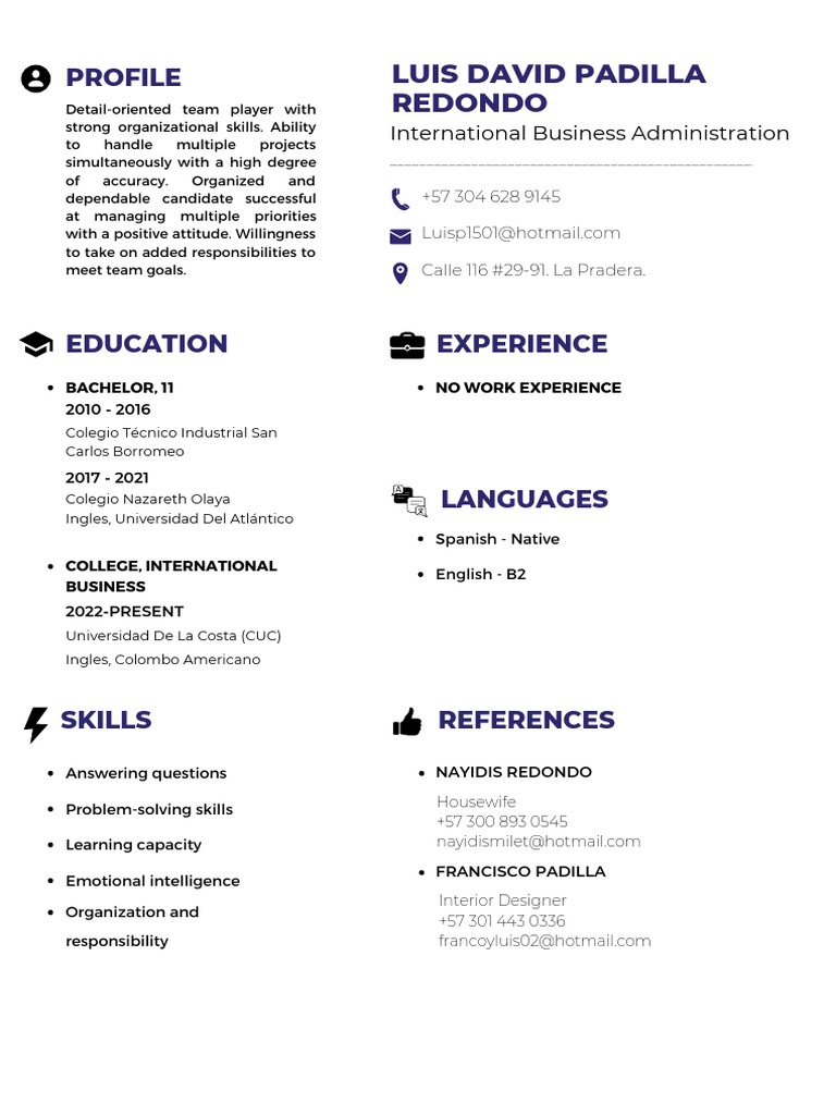 Luis Padilla CV | PDF