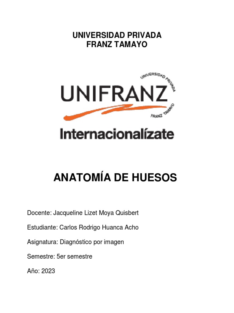 Anatomia De Huesos Pdf