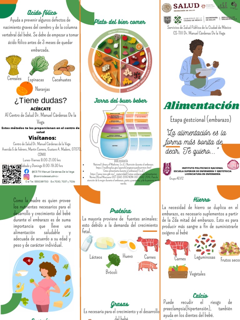 Tríptico de Alimentación | PDF