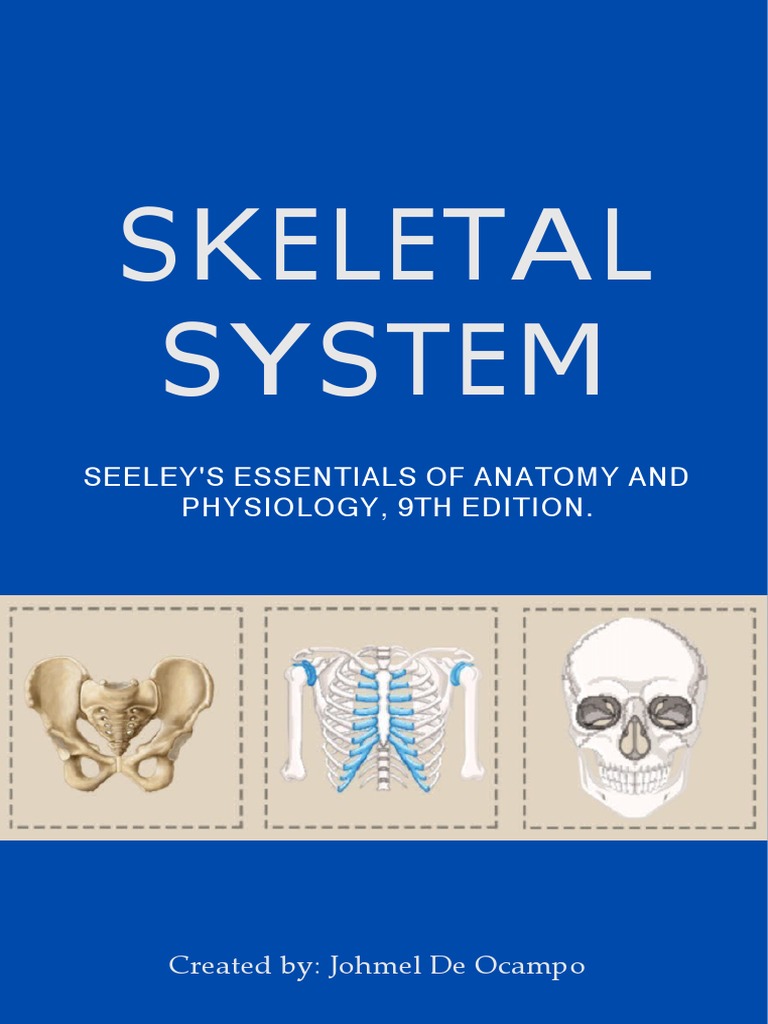 Anatomy - Physiology (Chapter 6 - Skeletal System) | PDF | Bone ...